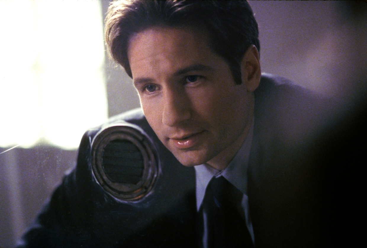 Agent Mulder ze seriálu Akta X ošálil stárnutí: David Duchovny oslavil ...